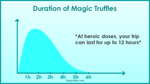 Magic Truffles: Effects, Dosage, How To Take It & More